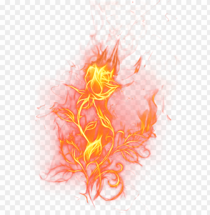Free download | HD PNG fire rose PNG transparent with Clear Background ...