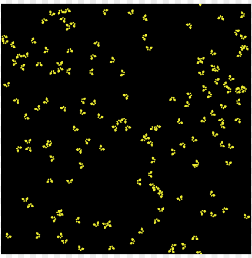 Free download | HD PNG fireflies PNG transparent with Clear Background ...
