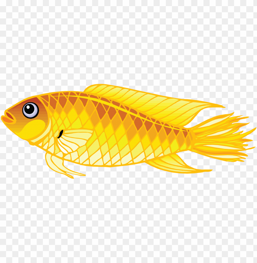 Free download | HD PNG bright yellow fish with detailed fins and round ...