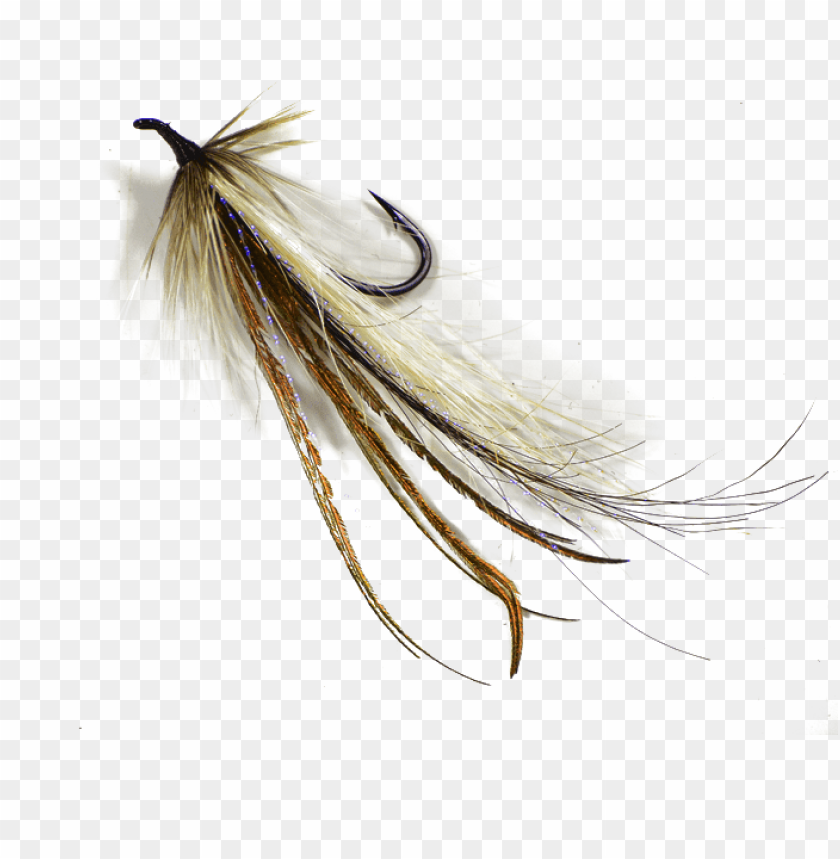 Free download | HD PNG fish fly png | TOPpng
