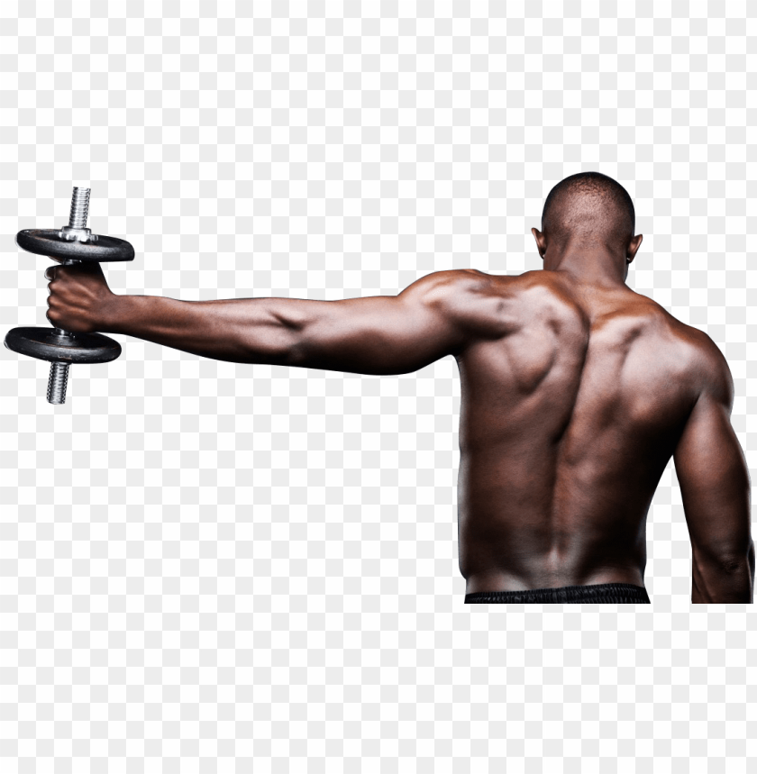 Free download | HD PNG fitness guy png man lifting weights PNG ...