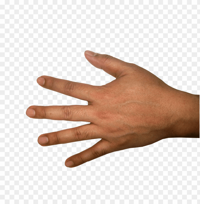 Free download | HD PNG Transparent background PNG image of five finger hand - Image ID 22537 ...