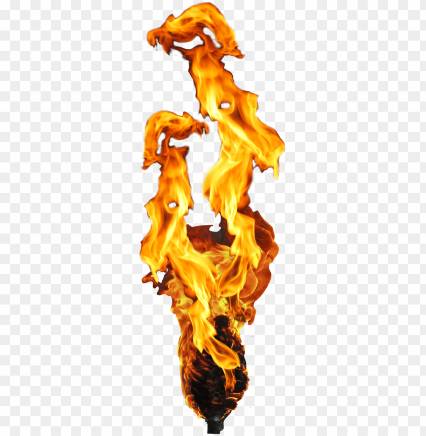 Free download | HD PNG flame fire on a torch PNG transparent with Clear ...