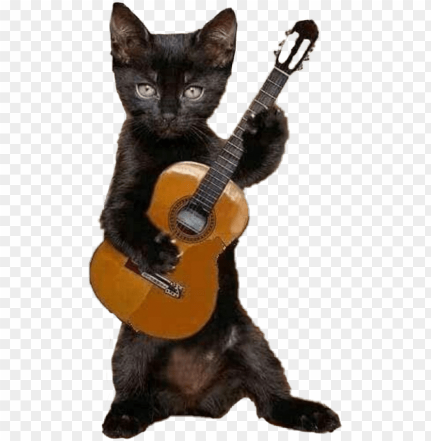 Free download | HD PNG flamenco cat PNG transparent with Clear ...