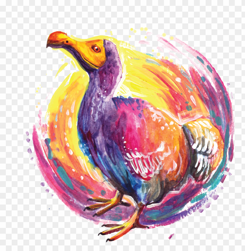 Free download | HD PNG flightless bird PNG transparent with Clear ...