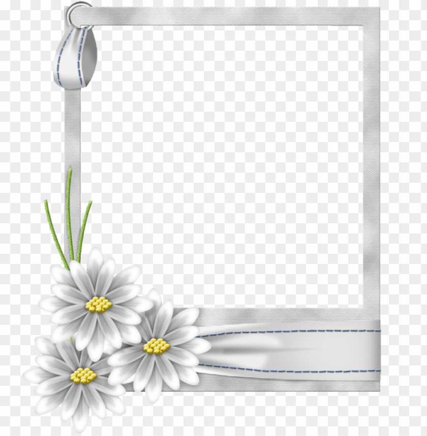 Free download | HD PNG flo frame white background best stock photos ...