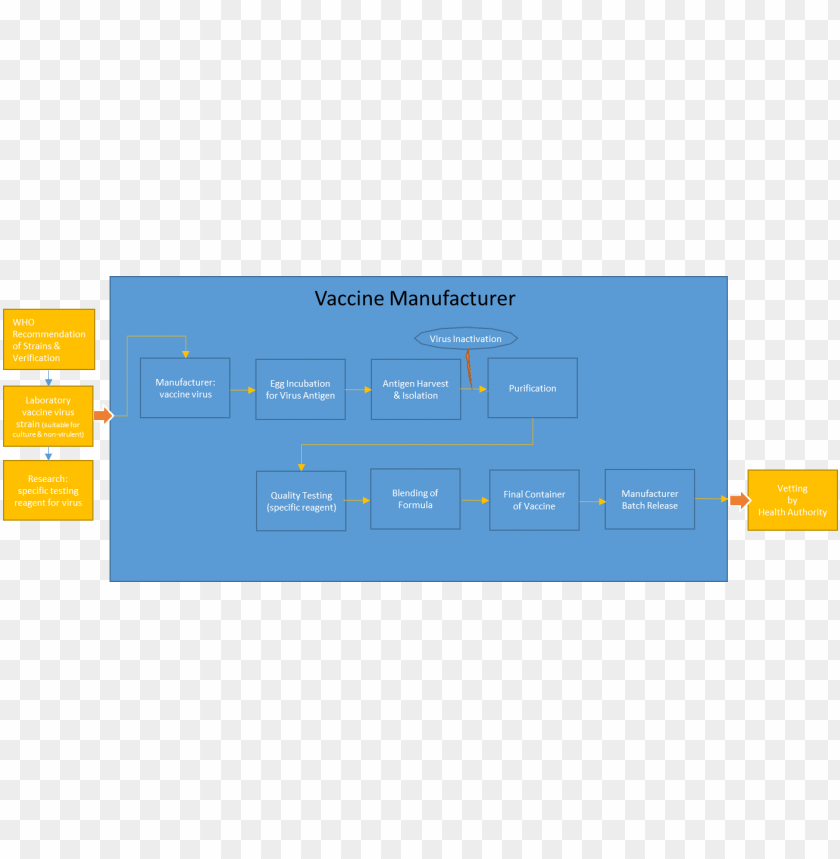Free download | HD PNG flow chart for vaccine production diagram PNG ...