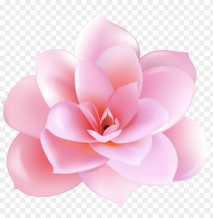 Free download | HD PNG PNG image of flower with a clear background ...
