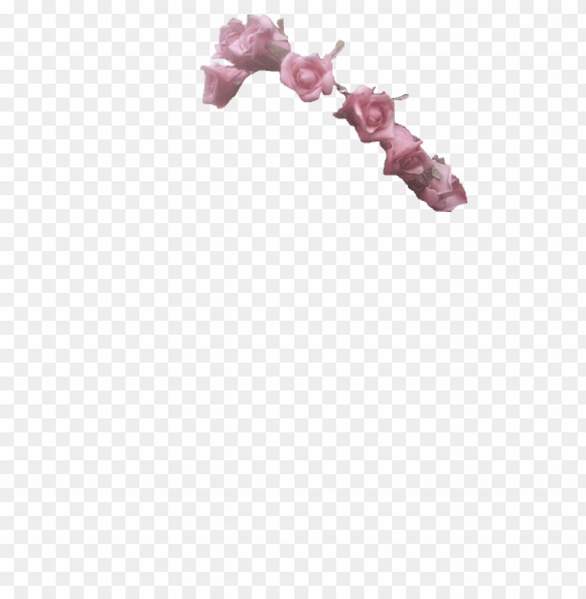 Free download | HD PNG flower crown transparent overlay PNG transparent ...