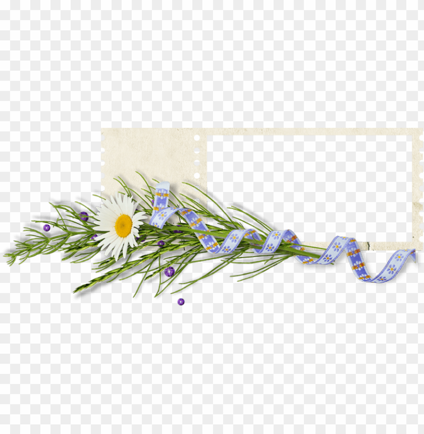Free download | HD PNG flower frame background best stock photos ...