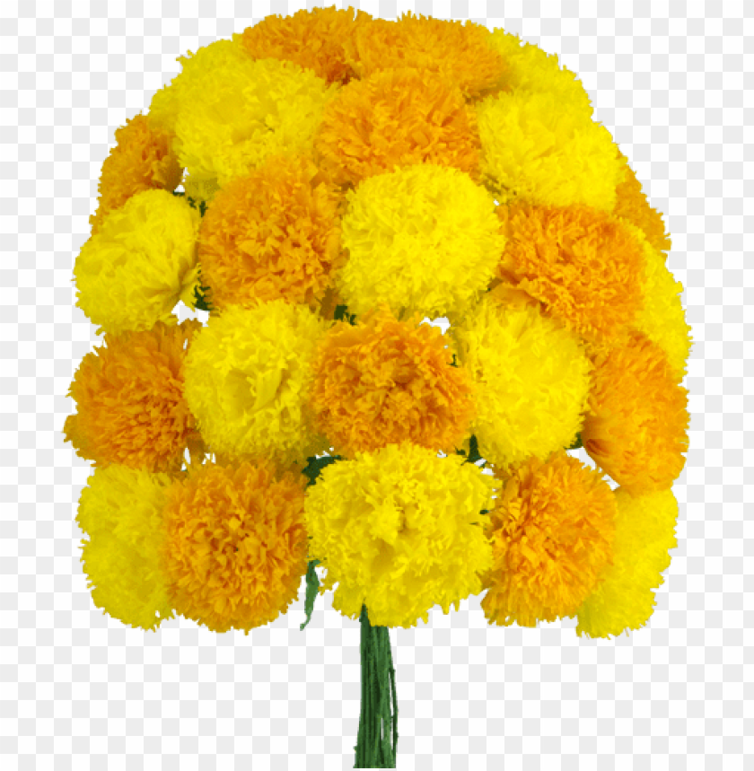 Free download | HD PNG flower of the dead day of the dead flowers ...