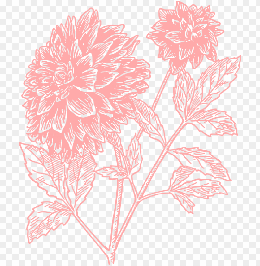 Free download | HD PNG flower print PNG transparent with Clear ...