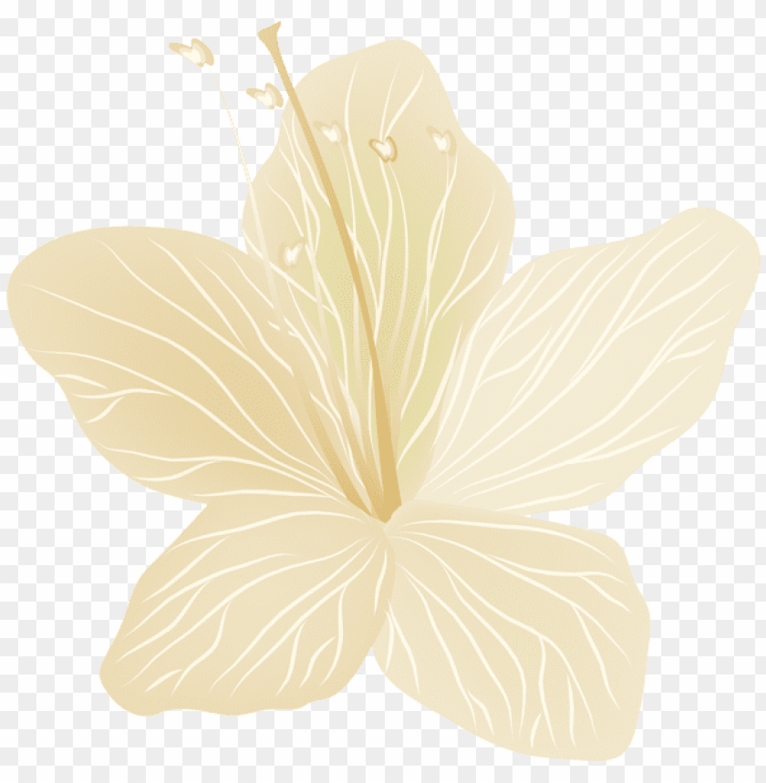 Free download | HD PNG PNG image of flower transparent with a clear ...