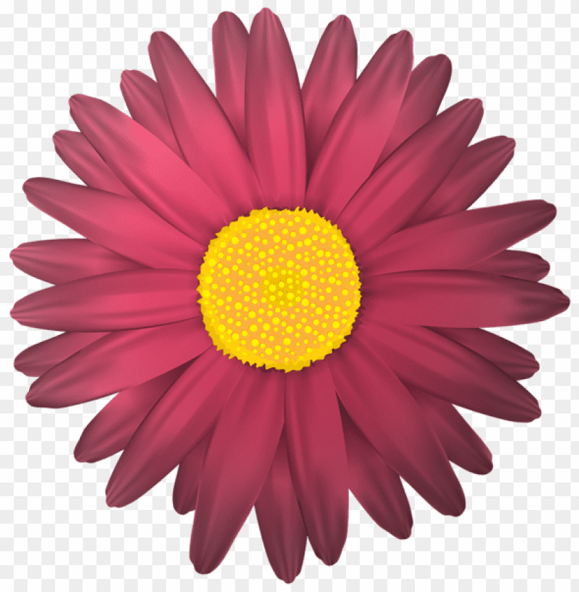 Free download | HD PNG PNG image of flower transparent with a clear ...
