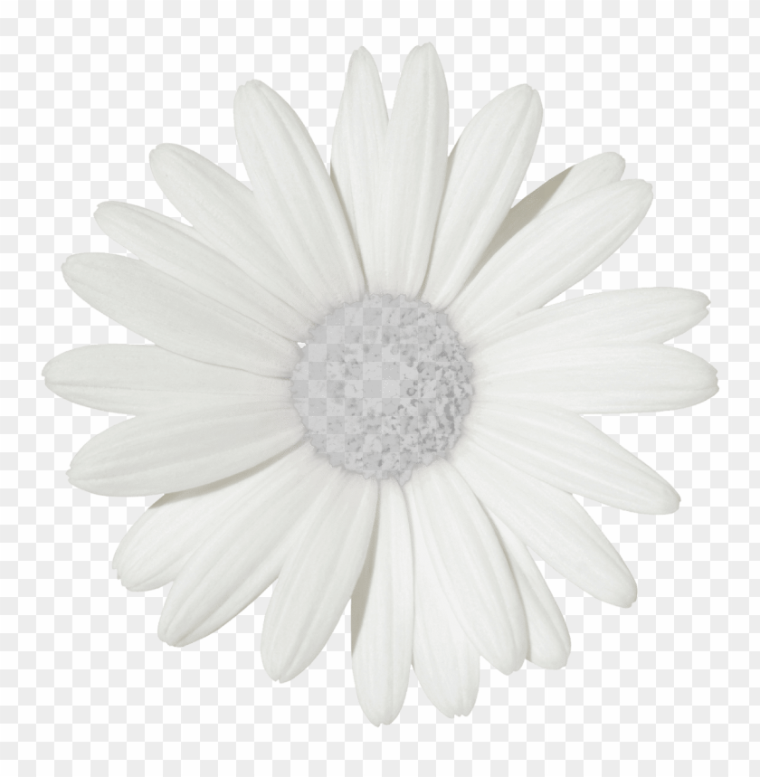 Free download | HD PNG flowers transparent tumblr PNG transparent with ...