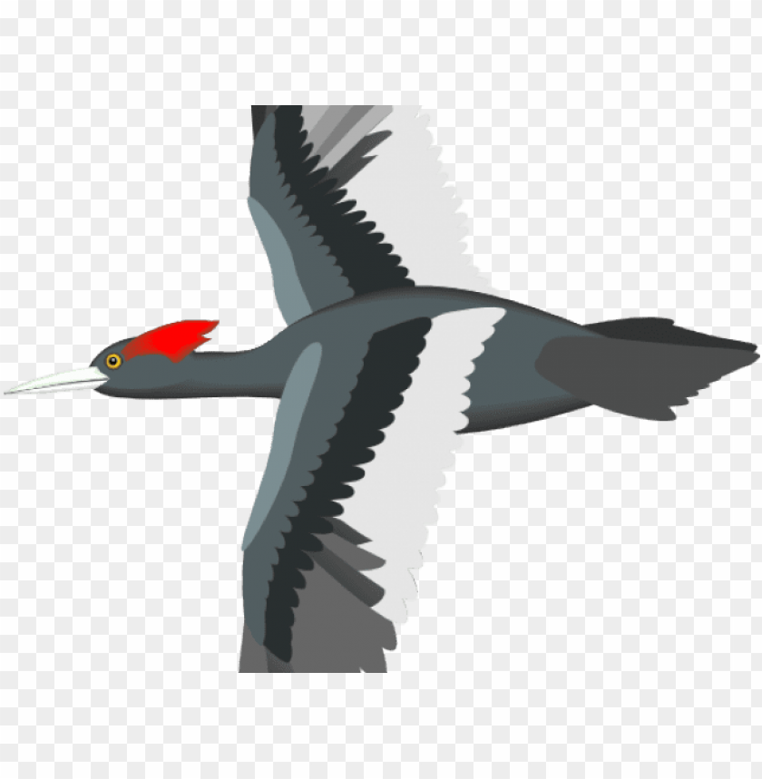 Free download | HD PNG flying bird animated PNG transparent with Clear ...