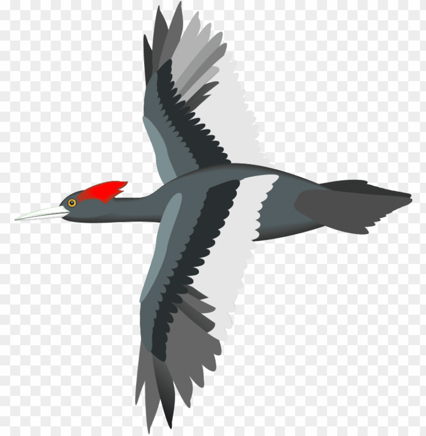 Free download | HD PNG flying bird vector PNG transparent with Clear ...