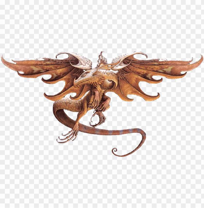 Free download | HD PNG flying dragon PNG transparent with Clear ...