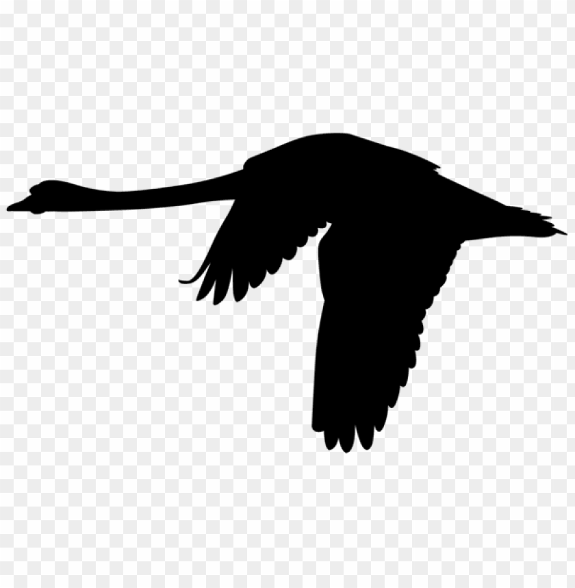 Free download | HD PNG Transparent flying swan silhouette png PNG Image ...