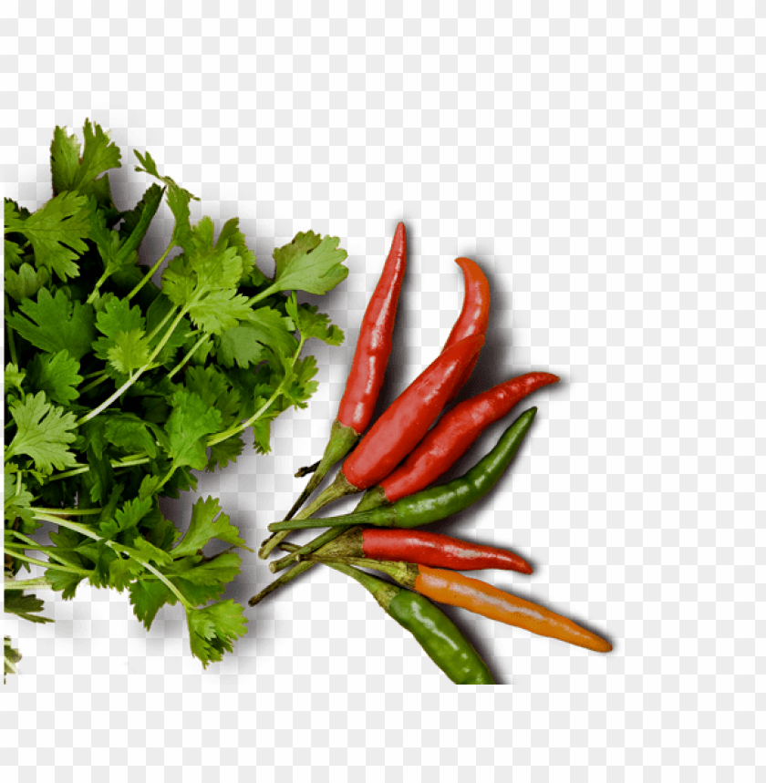 Free download | HD PNG food png high quality image food png from to PNG ...