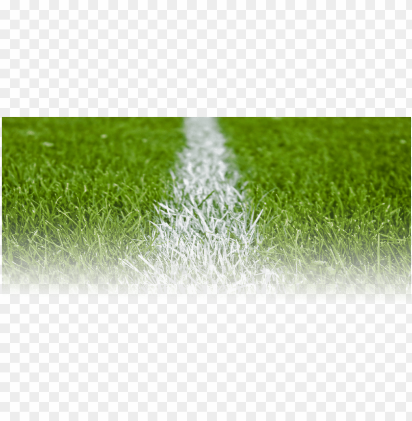 Free download | HD PNG football pitch grass PNG transparent with Clear ...