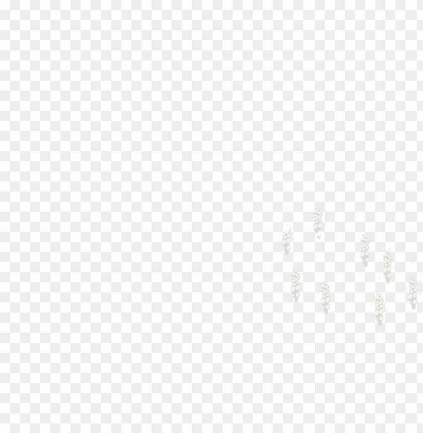 Free download | HD PNG footprint PNG transparent with Clear Background ...