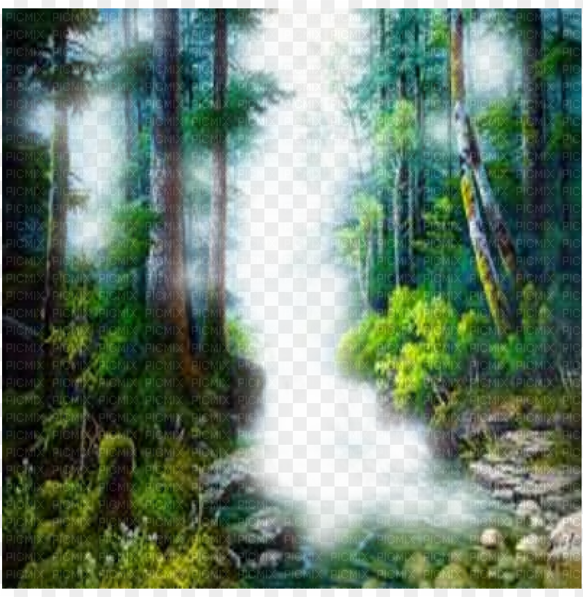 Free download | HD PNG forest frame forest photo frame transparent PNG ...