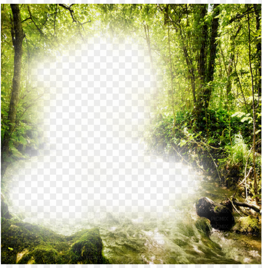 Free download | HD PNG forest frame png image forest frame PNG ...