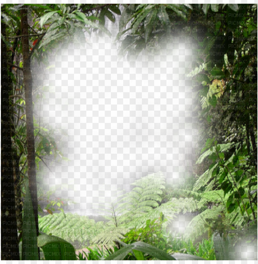 Free download | HD PNG forest frame waterfall PNG transparent with ...