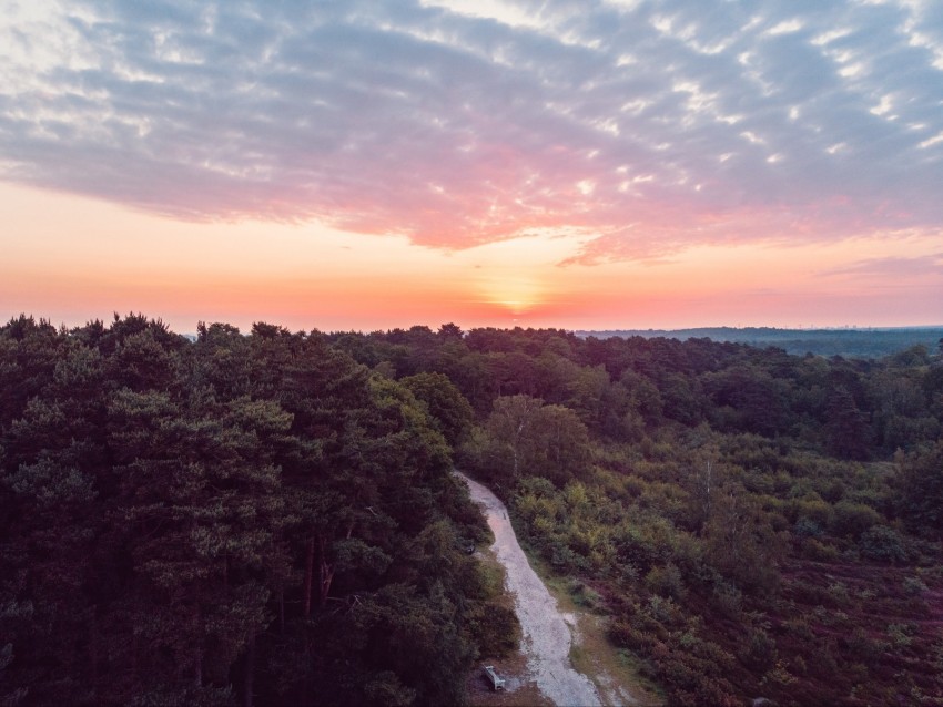 Free download | HD PNG forest path aerial view sunset horizon 4k ...