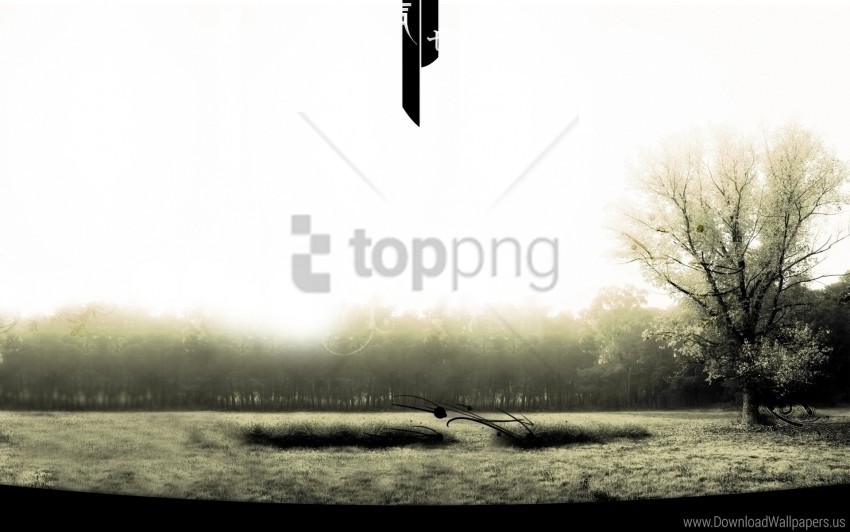 Free download | HD PNG forest trees vector wallpaper background best ...