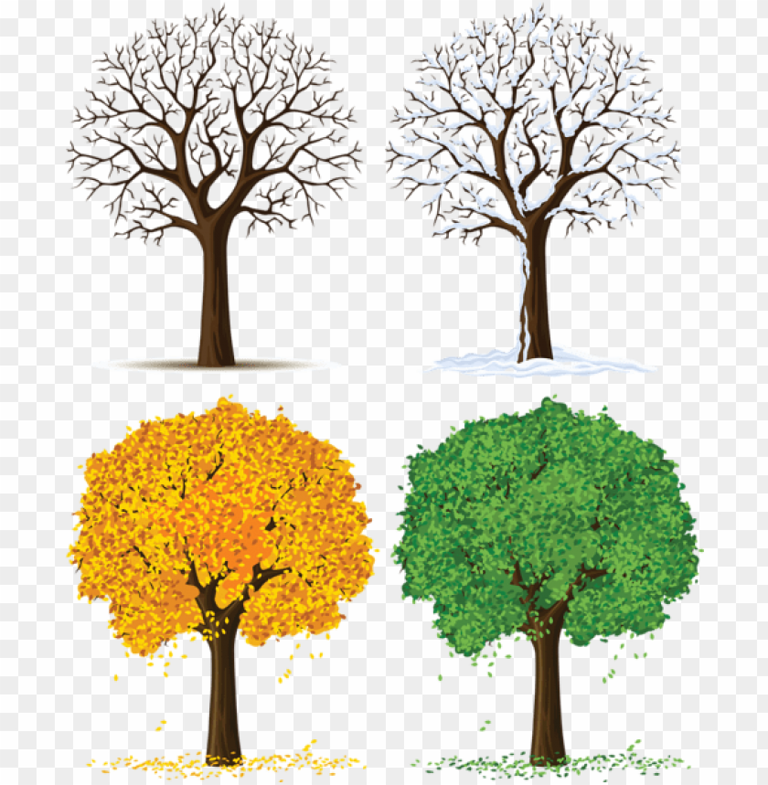 Free download | HD PNG PNG image of seasonal trees with colorful leaves ...