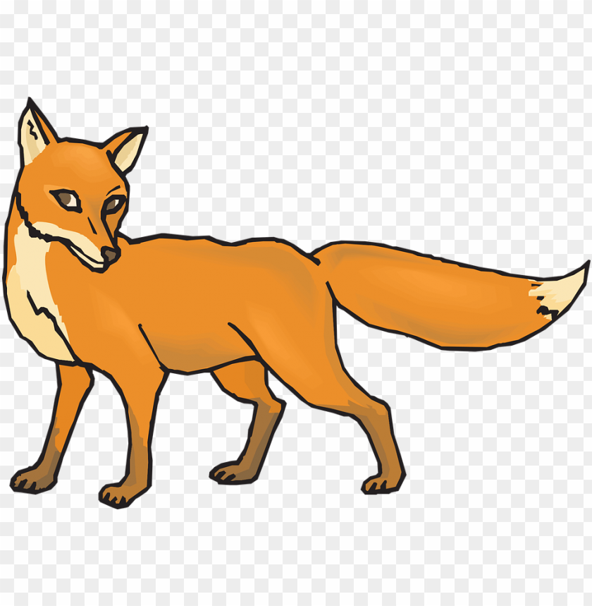 Free download | HD PNG cartoon fox standing with orange and white fur ...