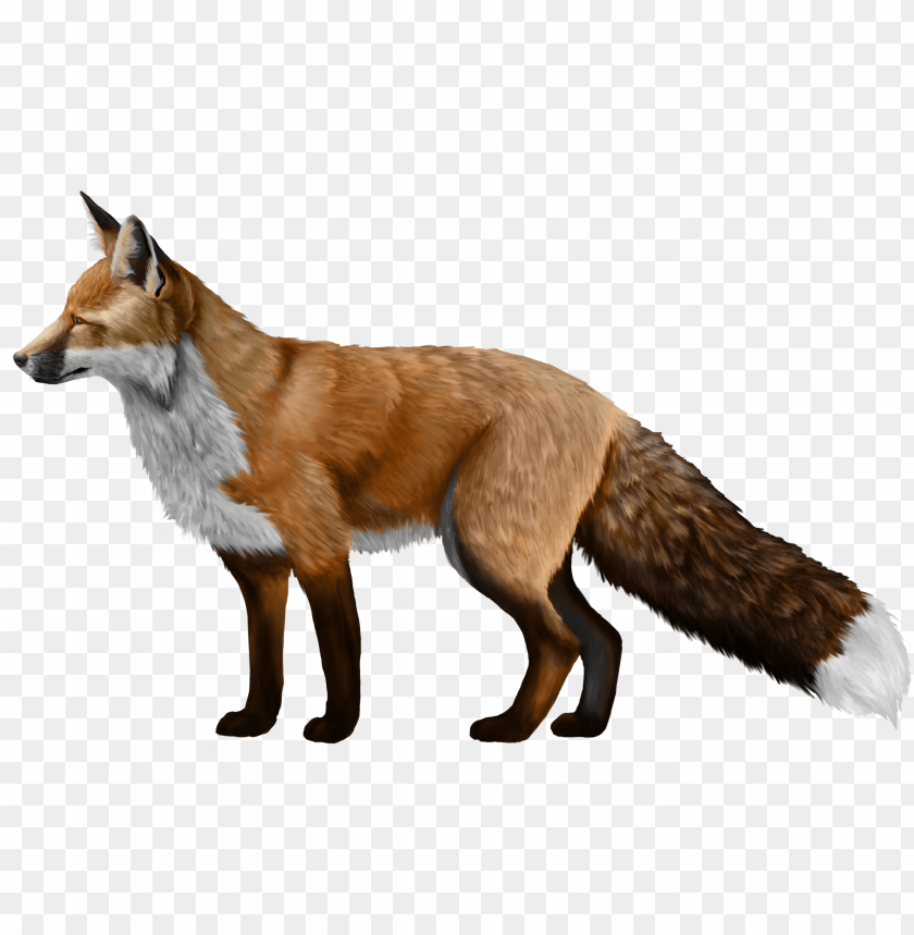Fox Png Imagesfoxpngimagesbackground Imageid2285 cutout PNG & clipart ...