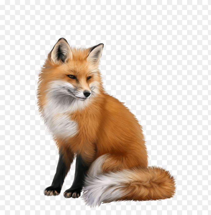 Free download | HD PNG fox | TOPpng