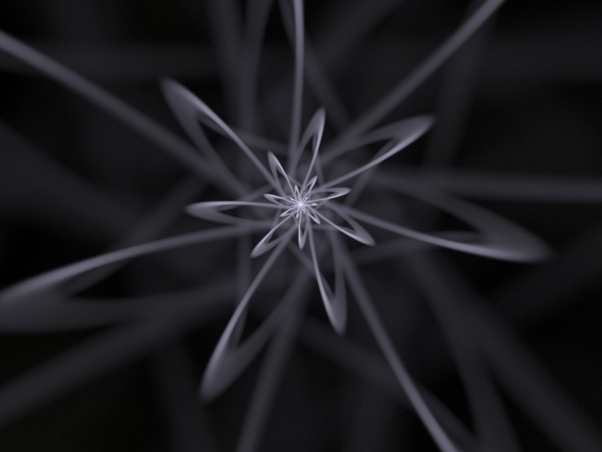 Free download | HD PNG fractal lines tangled bw abstraction 4k ...