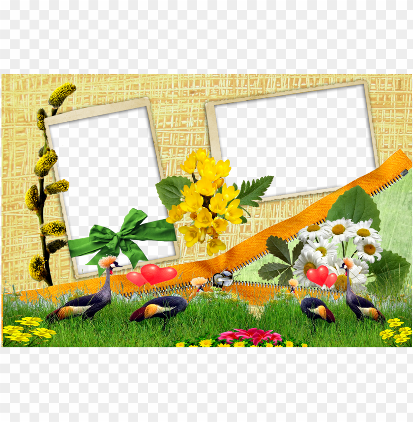 Free download | HD PNG frame 2 photo frame PNG transparent with Clear ...