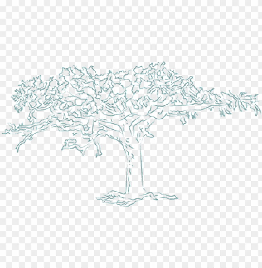 Free download | HD PNG frankincense resin essential oil frankincense ...