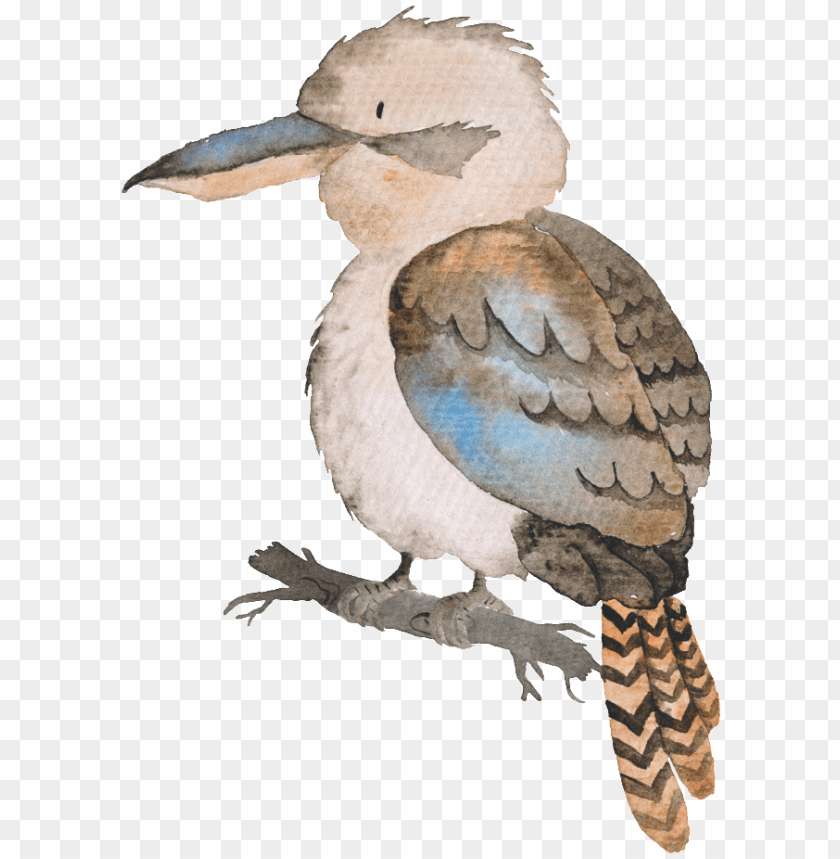 Free download | HD PNG free australian animal cartoon PNG transparent ...