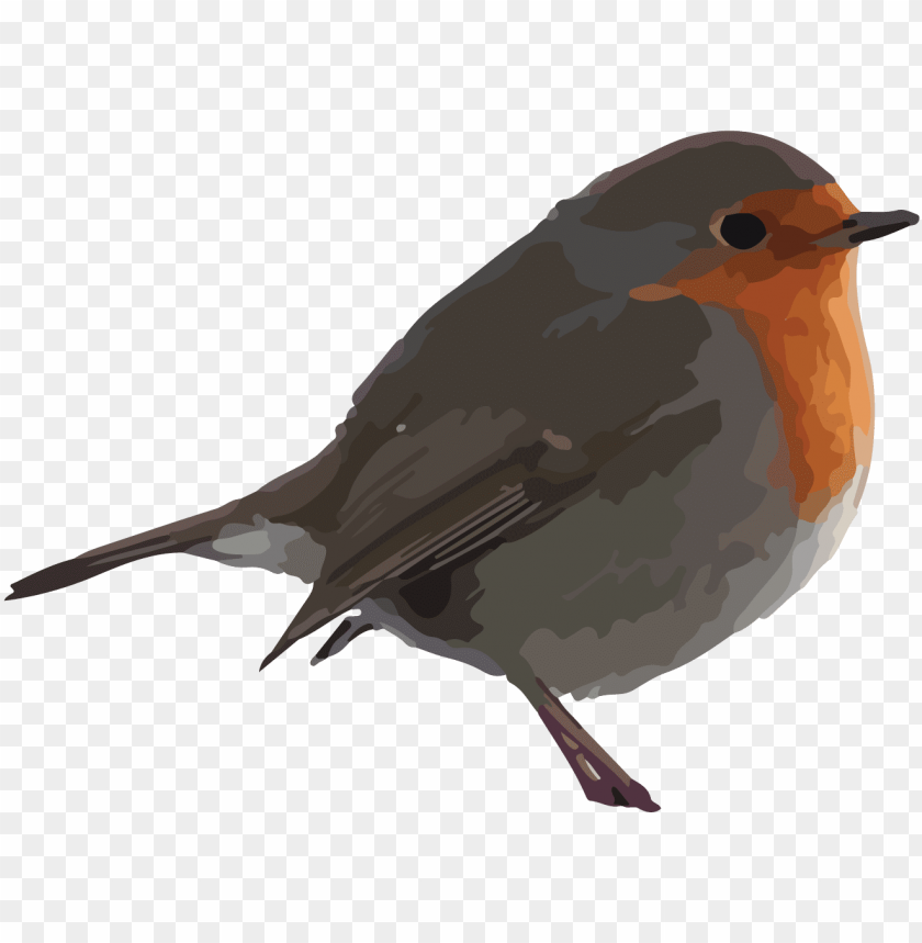 Free Download HD PNG Free Bird Clipart Robin Clipart PNG Transparent Free Download HD PNG Free Bird Clipart Robin Clipart PNG Transparent