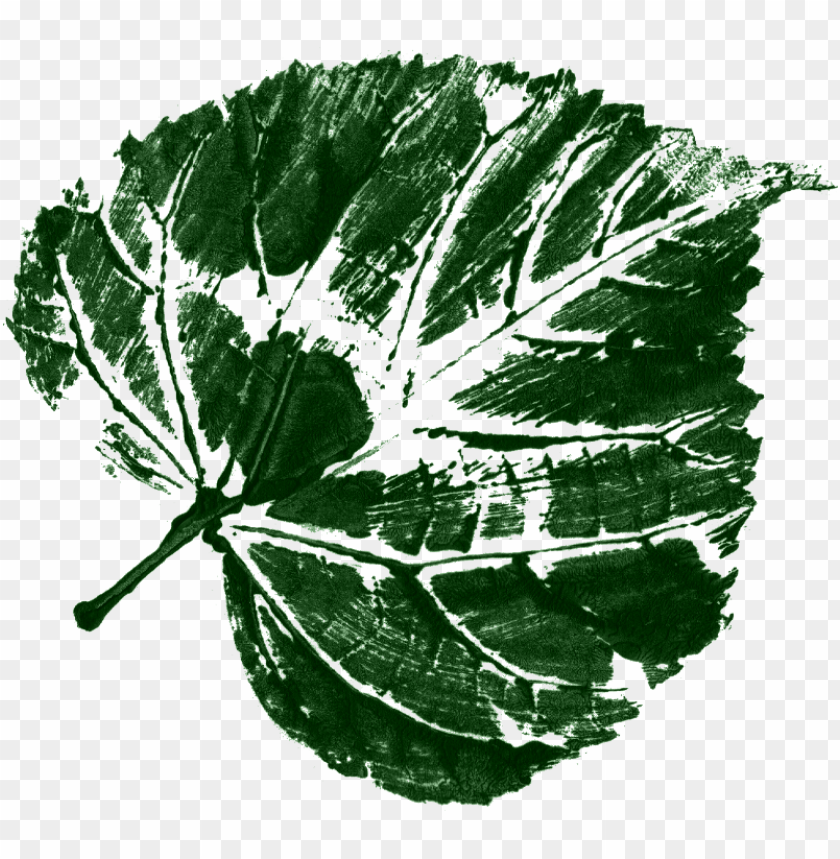 Free download | HD PNG free download PNG transparent with Clear ...