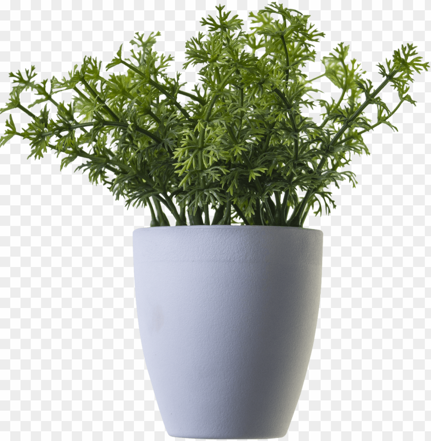 Free download | HD PNG free icons png plant in pot PNG transparent with ...