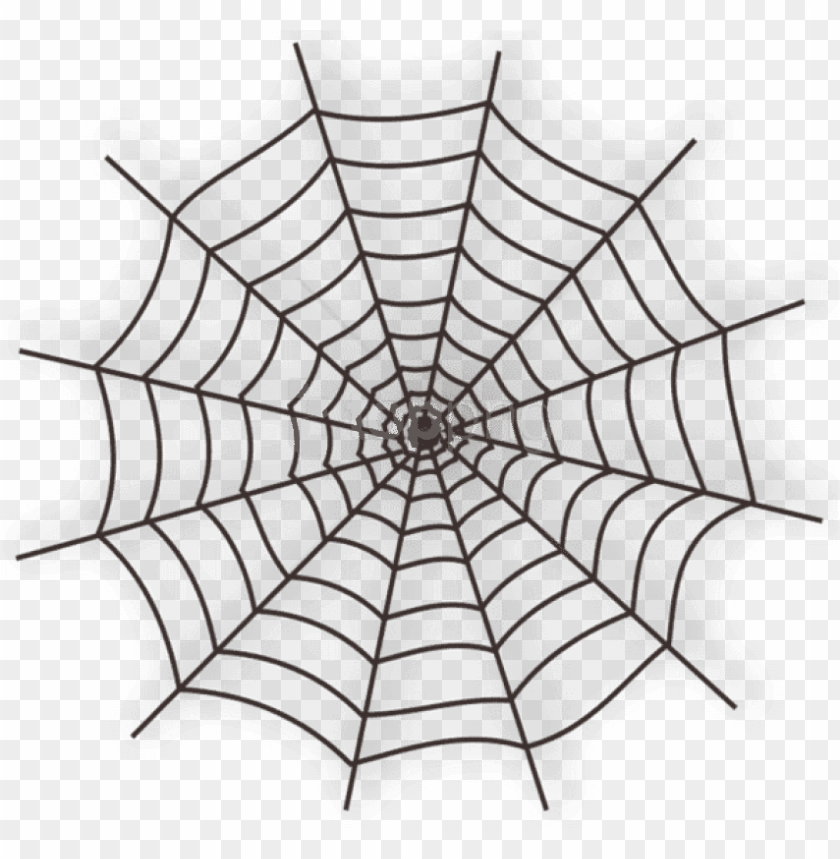 Free download | HD PNG hand drawn spider web illustration PNG ...