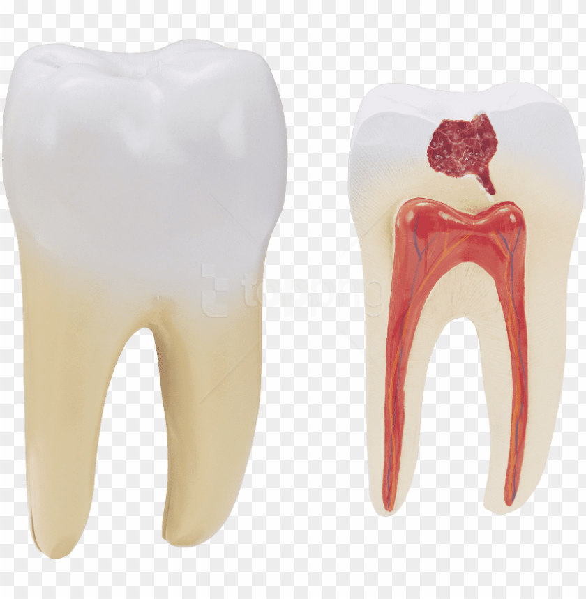 Free download | HD PNG free png download teeth png images background ...