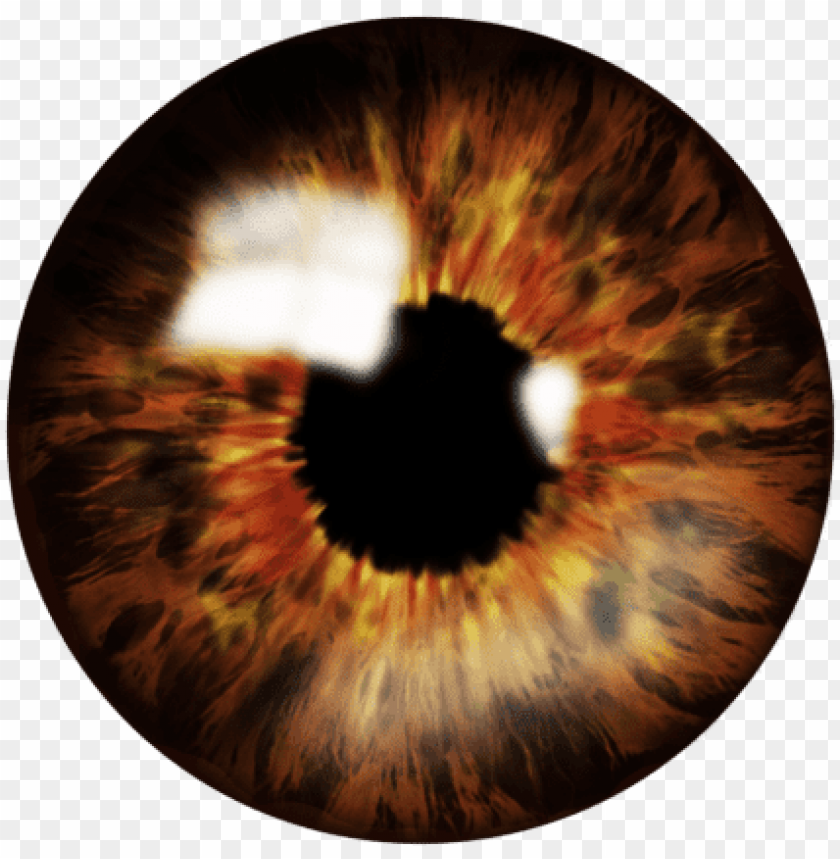 Free download | HD PNG free png eyes png images transparent eye lens ...
