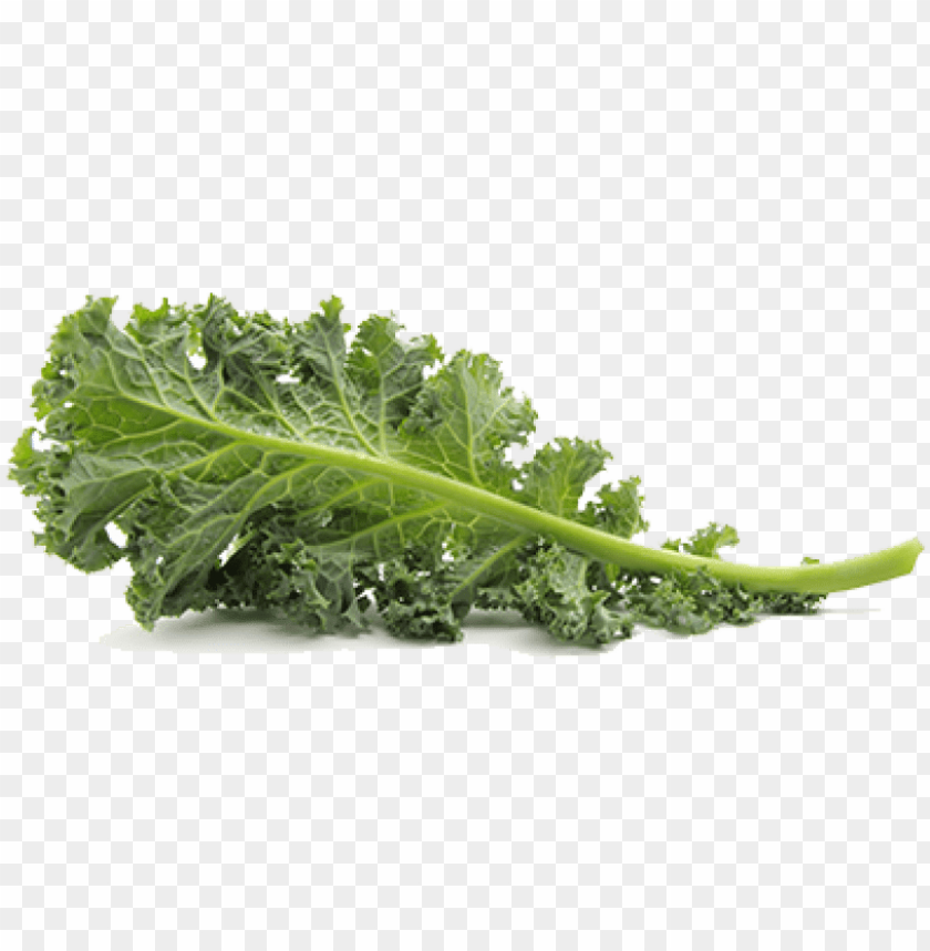 Free download | HD PNG free png kale png pic png images transparent ...