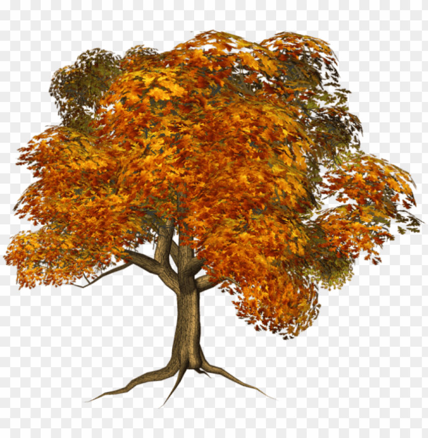 Free download | HD PNG free png large fall tree png images transparent transparent background ...