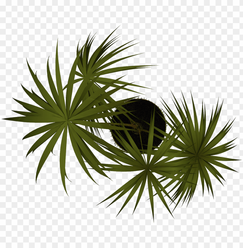 Free Download Hd Png Free Png Plant Png Images Transparent Vegetación