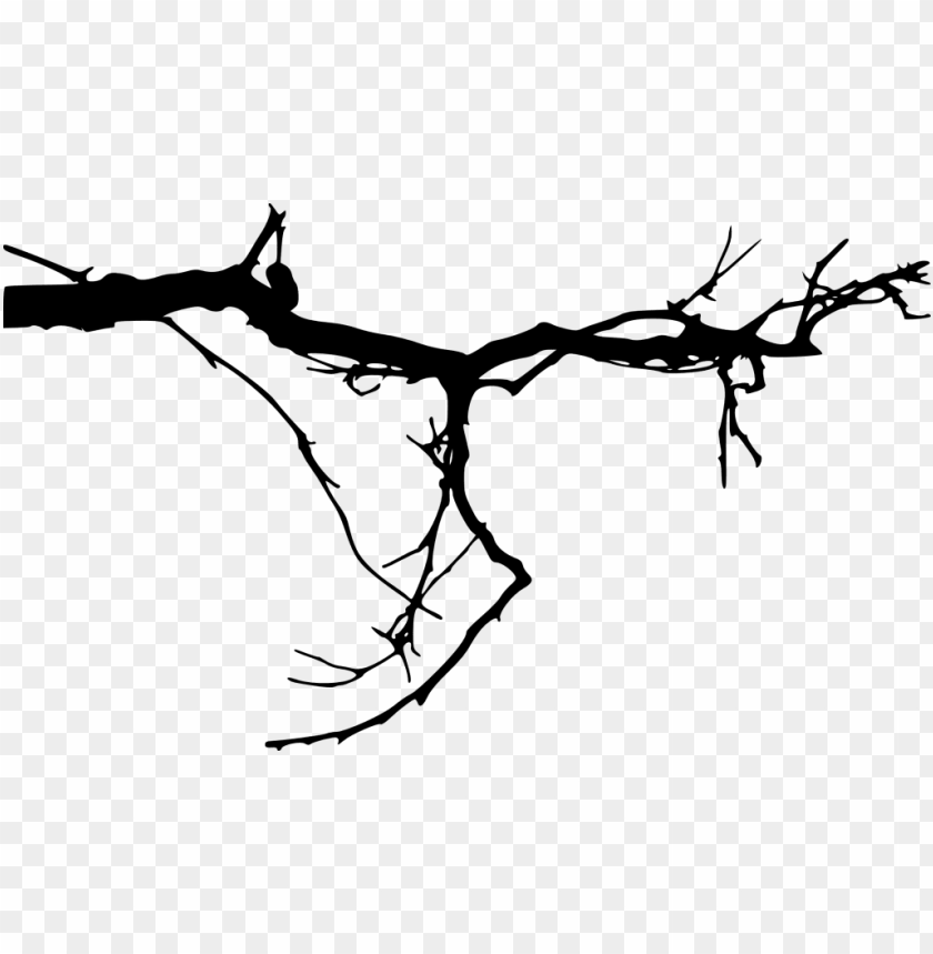 Free download | HD PNG free png simple tree branch png images ...