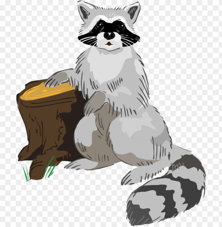 Free download | HD PNG free raccoon clipart raccoon clip art free PNG ...